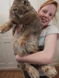 Ralph Is Worlds Biggest Bunny