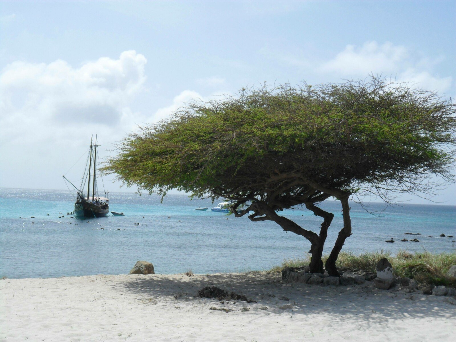 50 Amazing Photos from Aruba