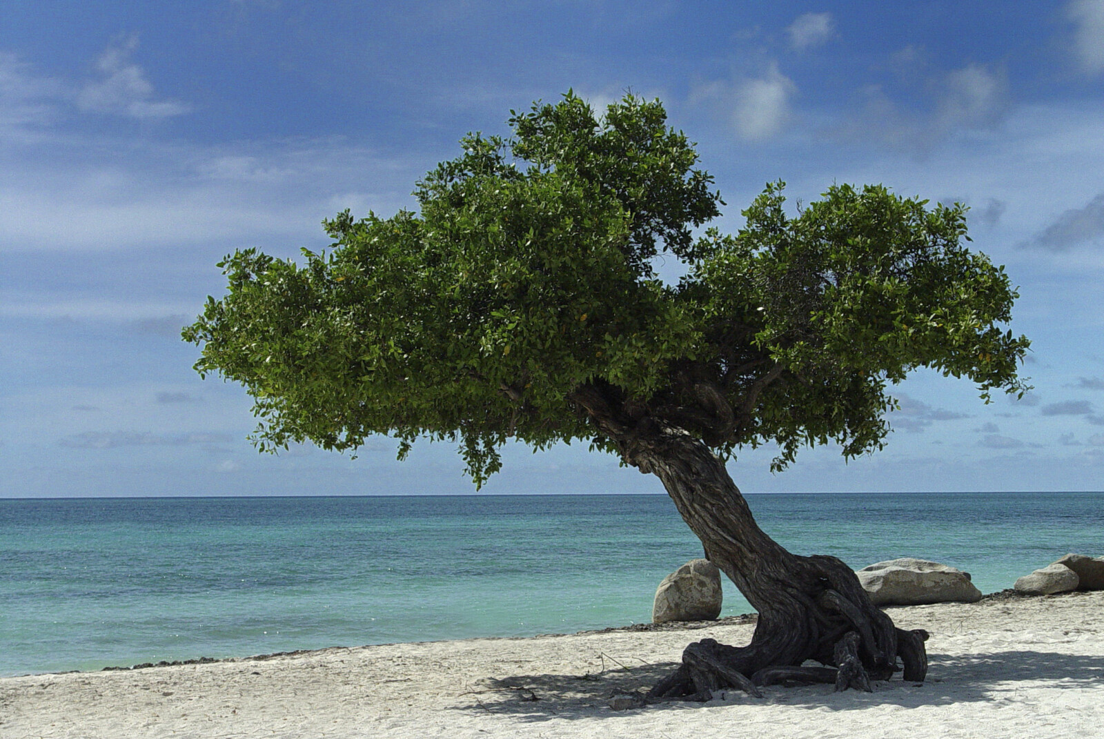 50 Amazing Photos from Aruba