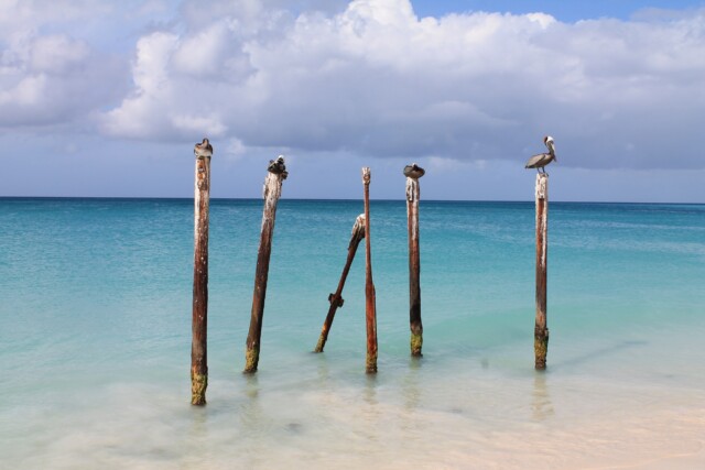 50 Amazing Photos from Aruba