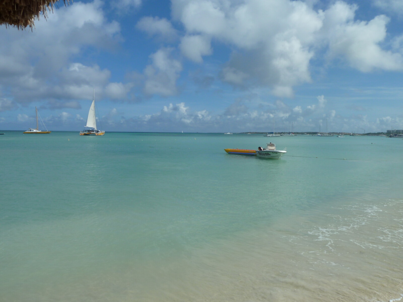 50 Amazing Photos from Aruba