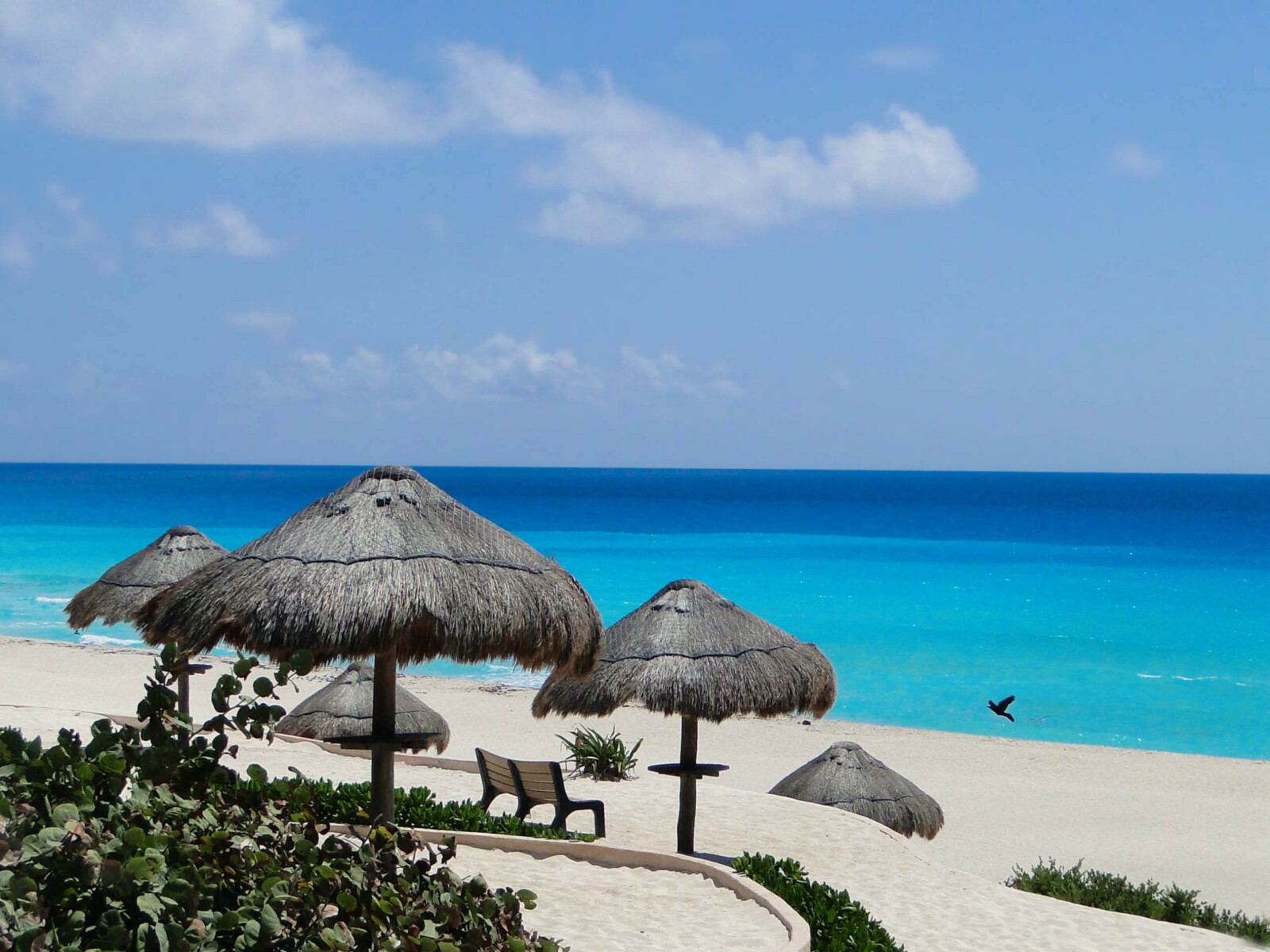 50 Amazing Photos from Cancun