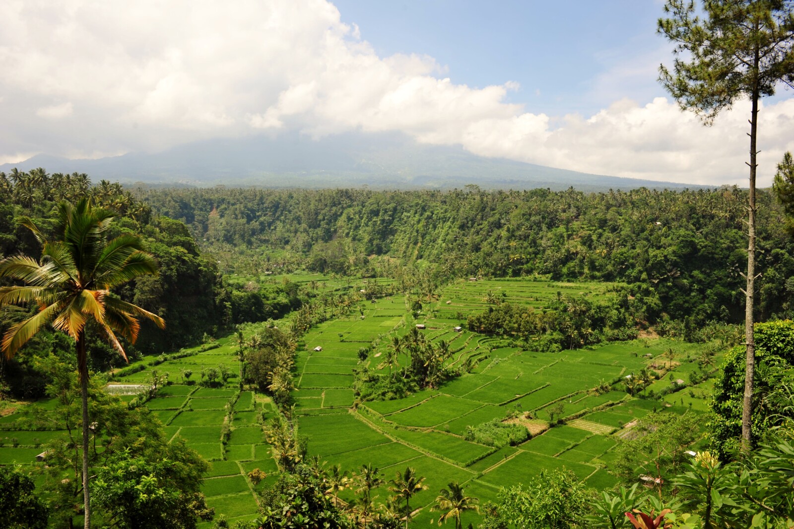 40 Amazing Photos from Bali