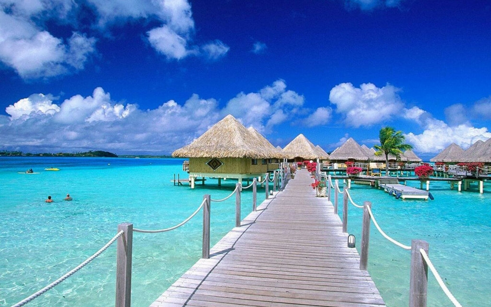 40 Amazing Photos from Bali