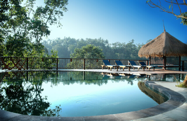 40 Amazing Photos from Bali