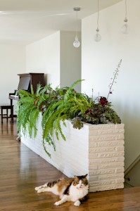 20 Amazing Indoor Garden Design Ideas