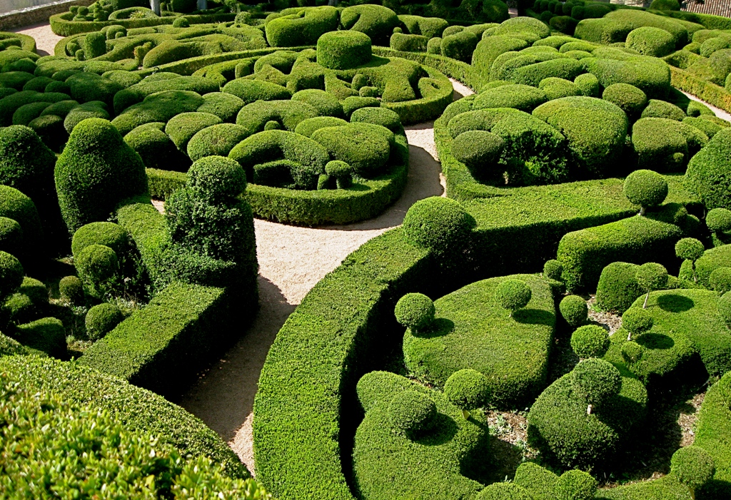 24 Beautiful Boxwood Garden Ideas