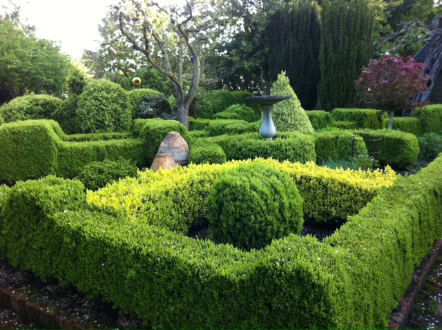 24 Beautiful Boxwood Garden Ideas