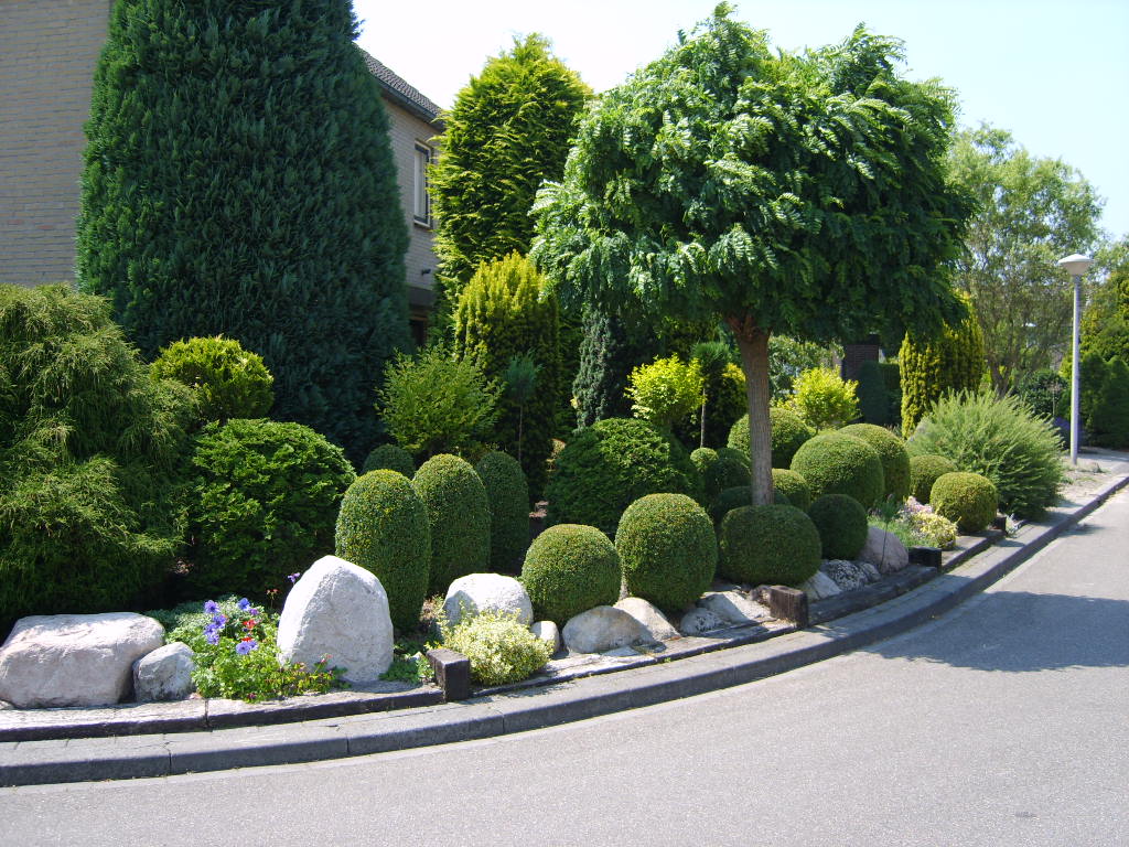 24 Beautiful Boxwood Garden Ideas