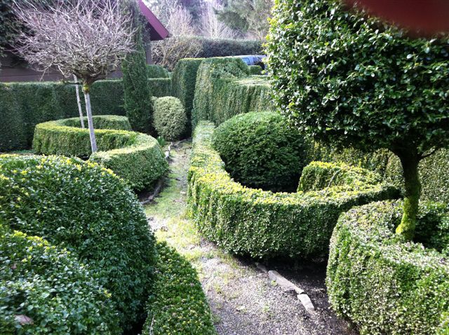 24 Beautiful Boxwood Garden Ideas