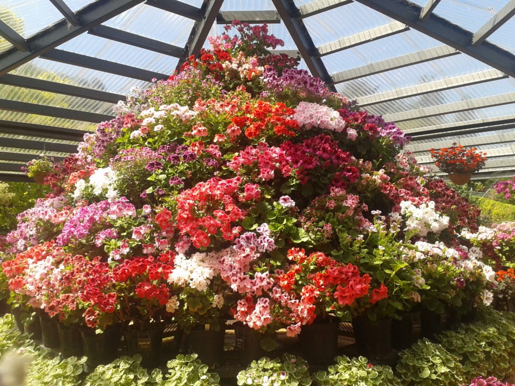 23 Amazing Flower Garden Ideas