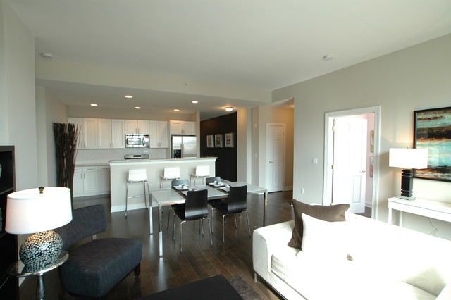 20 Modern Condo Design Ideas