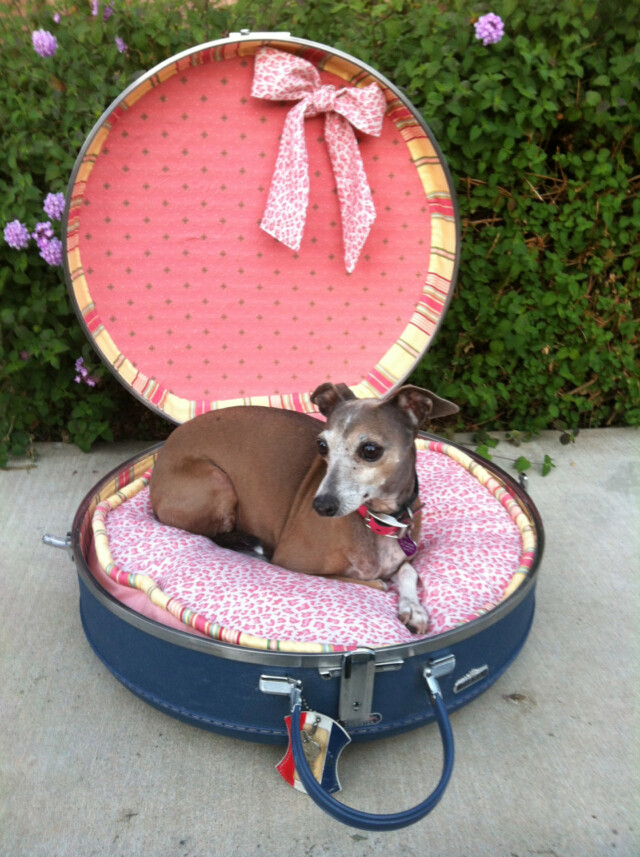 17 Creative Handmade Pet Home Ideas