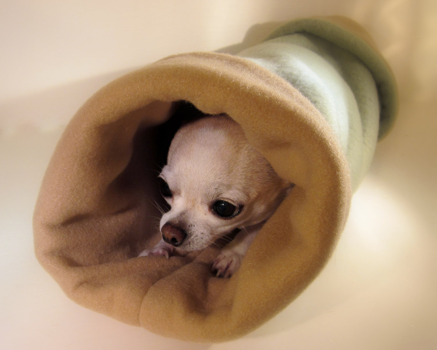 17 Creative Handmade Pet Home Ideas