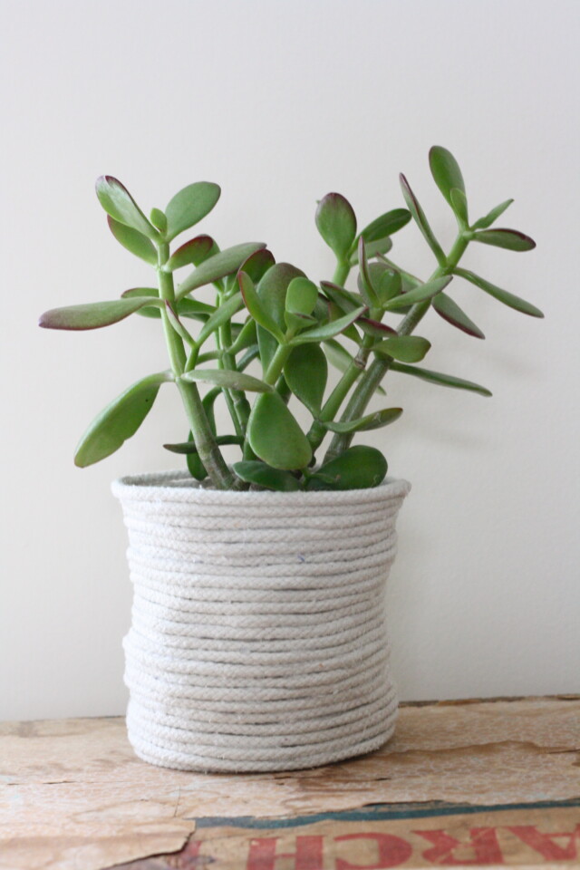 22 Amazing DIY Pot Ideas