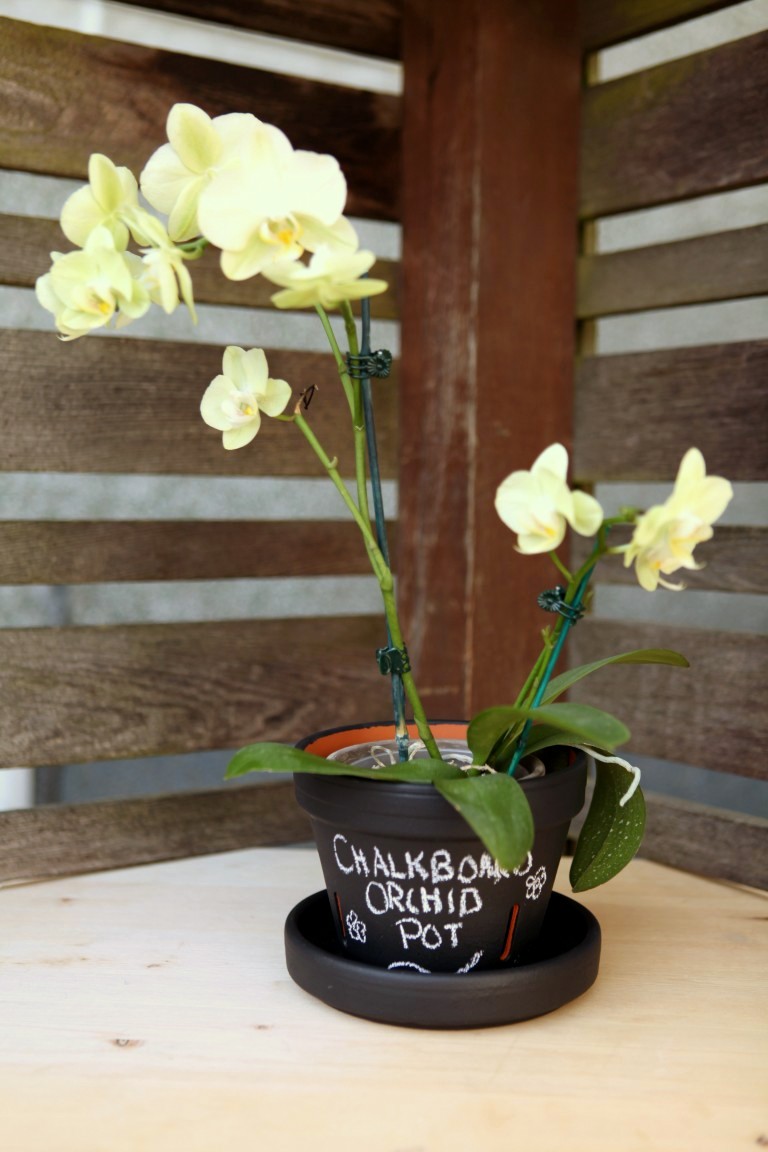 22 Amazing DIY Pot Ideas