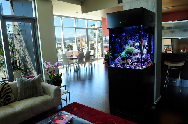 24 Original Ideas with Aquarium in Home Interior