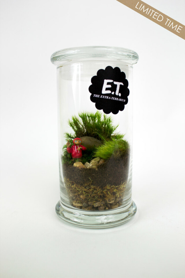 27 Small and Cute Themed Terrariums