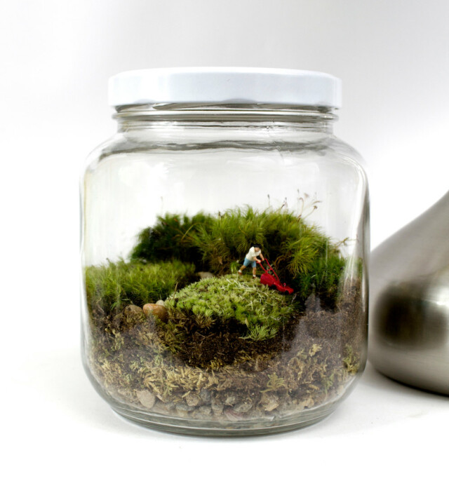 27 Small and Cute Themed Terrariums