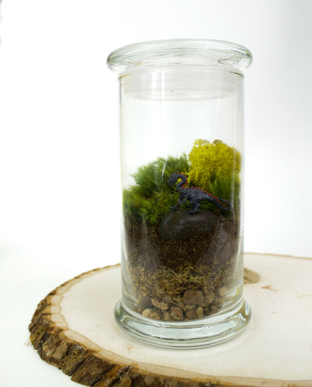 27 Small and Cute Themed Terrariums