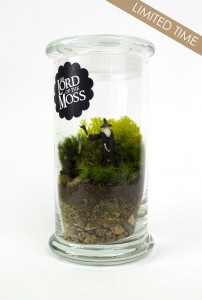 27 Small and Cute Themed Terrariums