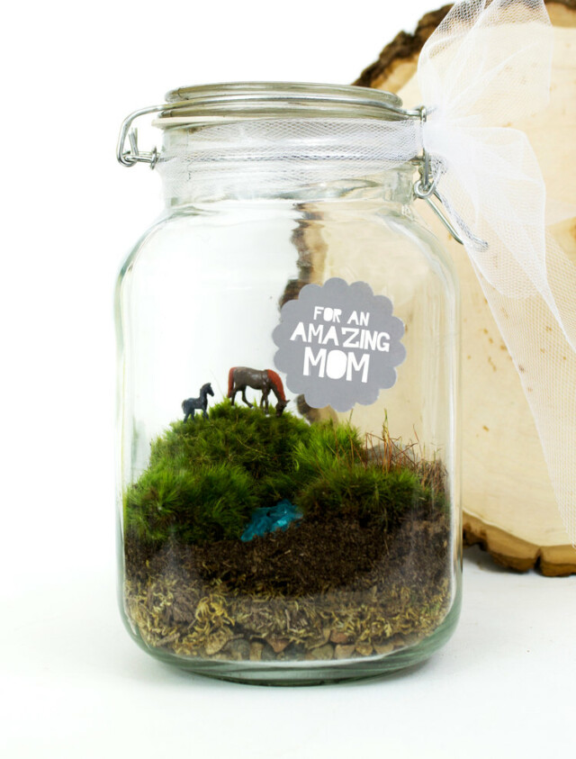 27 Small and Cute Themed Terrariums