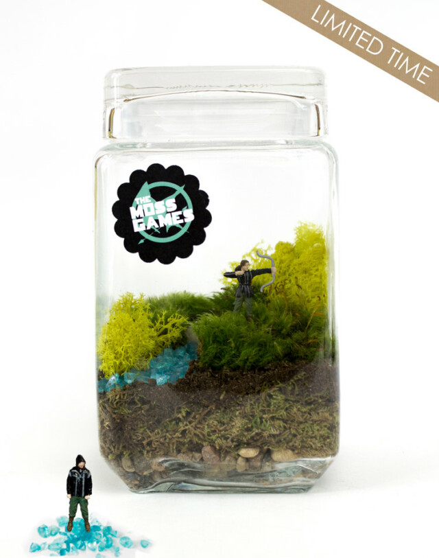 27 Small and Cute Themed Terrariums