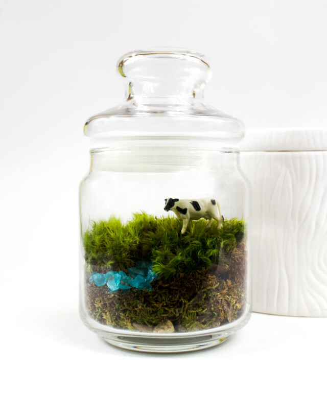 27 Small and Cute Themed Terrariums