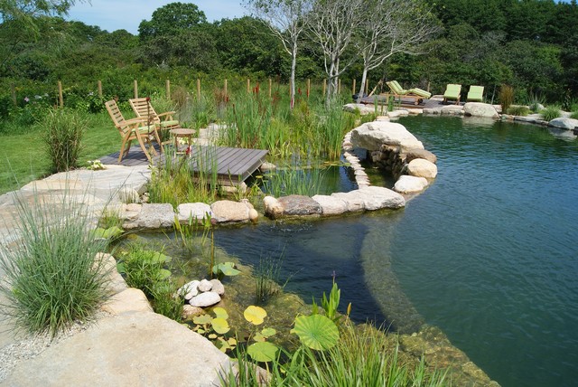 17 Incredible Natural Pool Ideas Perfect for Your Backyard