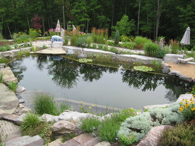 17 Incredible Natural Pool Ideas Perfect for Your Backyard