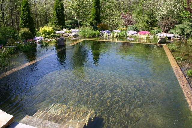 17 Incredible Natural Pool Ideas Perfect for Your Backyard