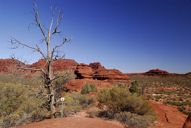 17 Amazing Places You Need To Visit In Australia