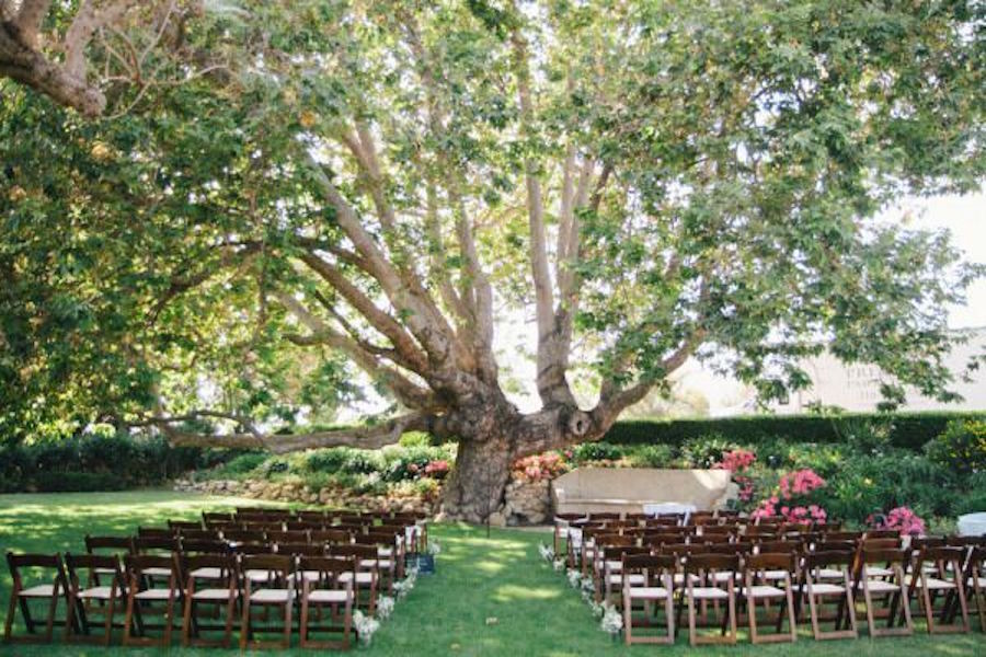 19 Amazing Wedding Venue Ideas