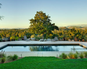 18 Amazing Poolside Landscape Ideas