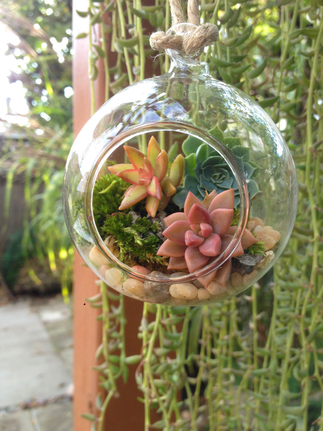15 Awesome Terrarium Designs That Will Bring Living Decor In Your Home