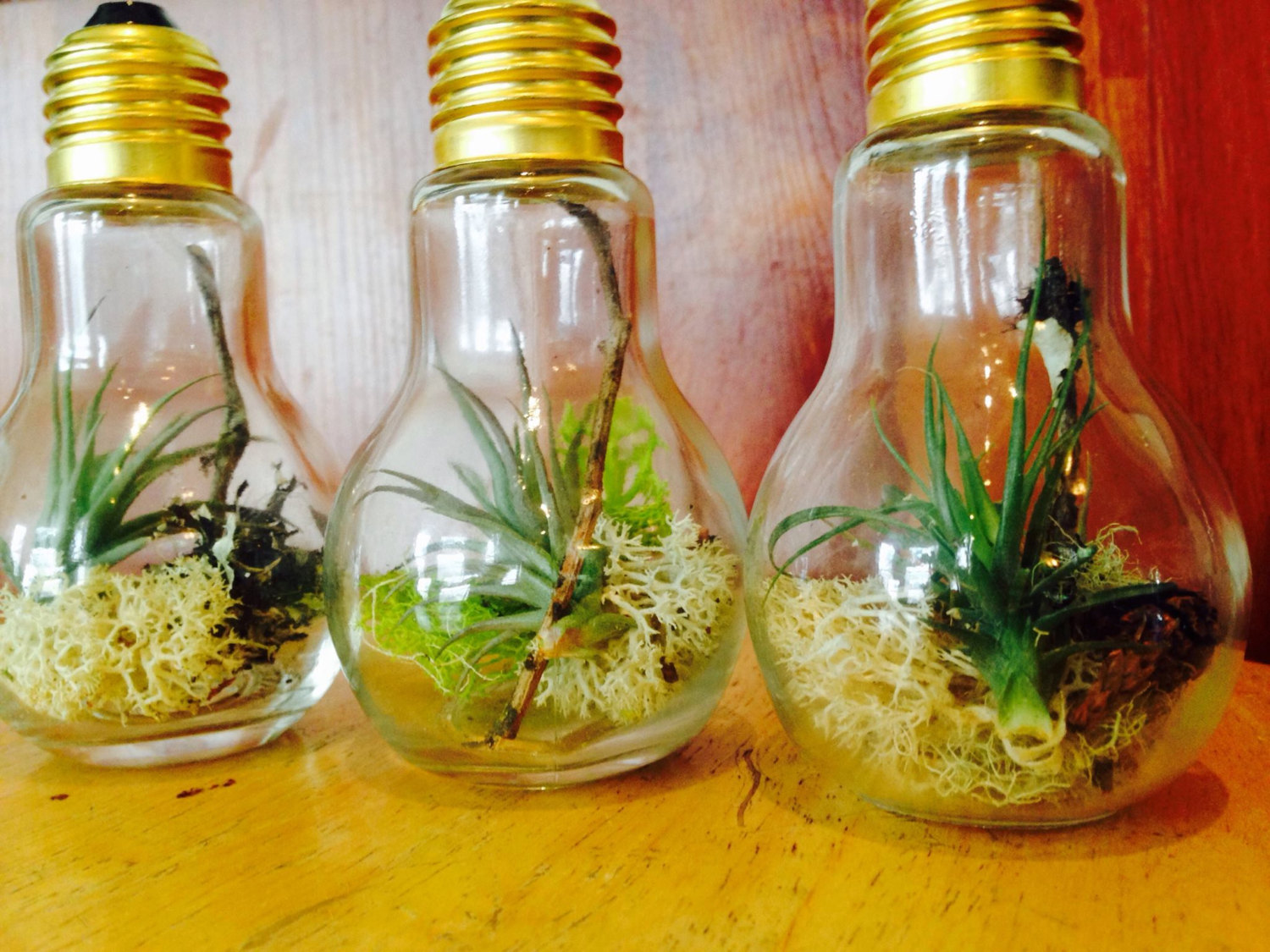 15 Awesome Terrarium Designs That Will Bring Living Decor In Your Home