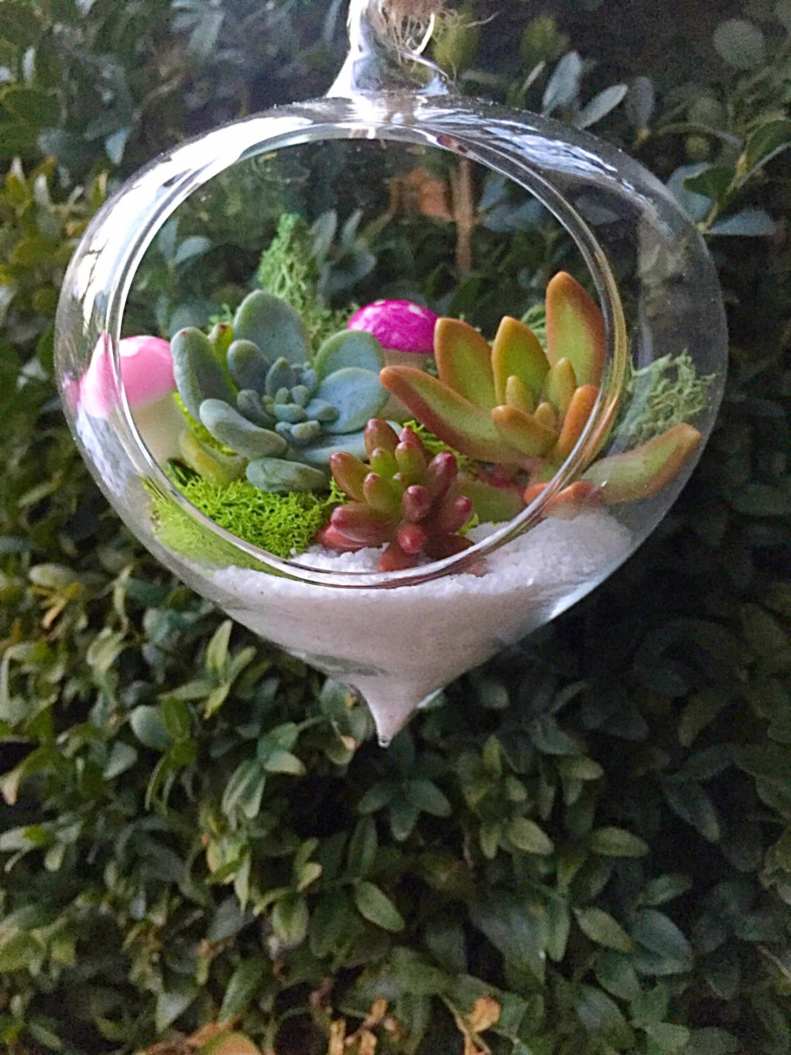 15 Awesome Terrarium Designs That Will Bring Living Decor In Your Home