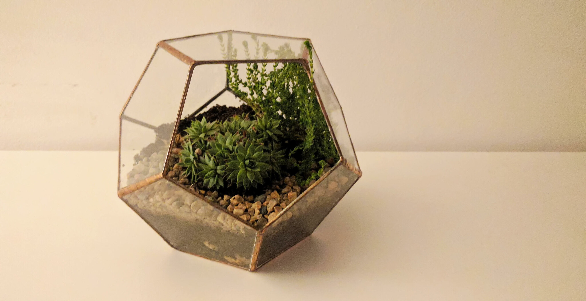 15 Awesome Terrarium Designs That Will Bring Living Decor In Your Home