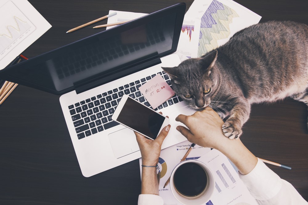 How to Make WFH a Little Less WTF