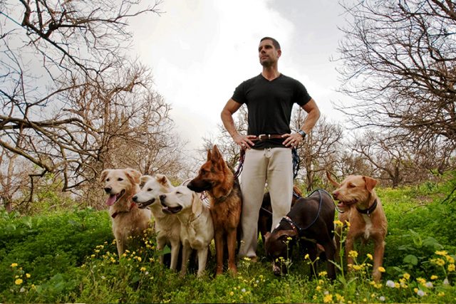 Being a Dog Trainer - Why It Is One of the Best Jobs in the World