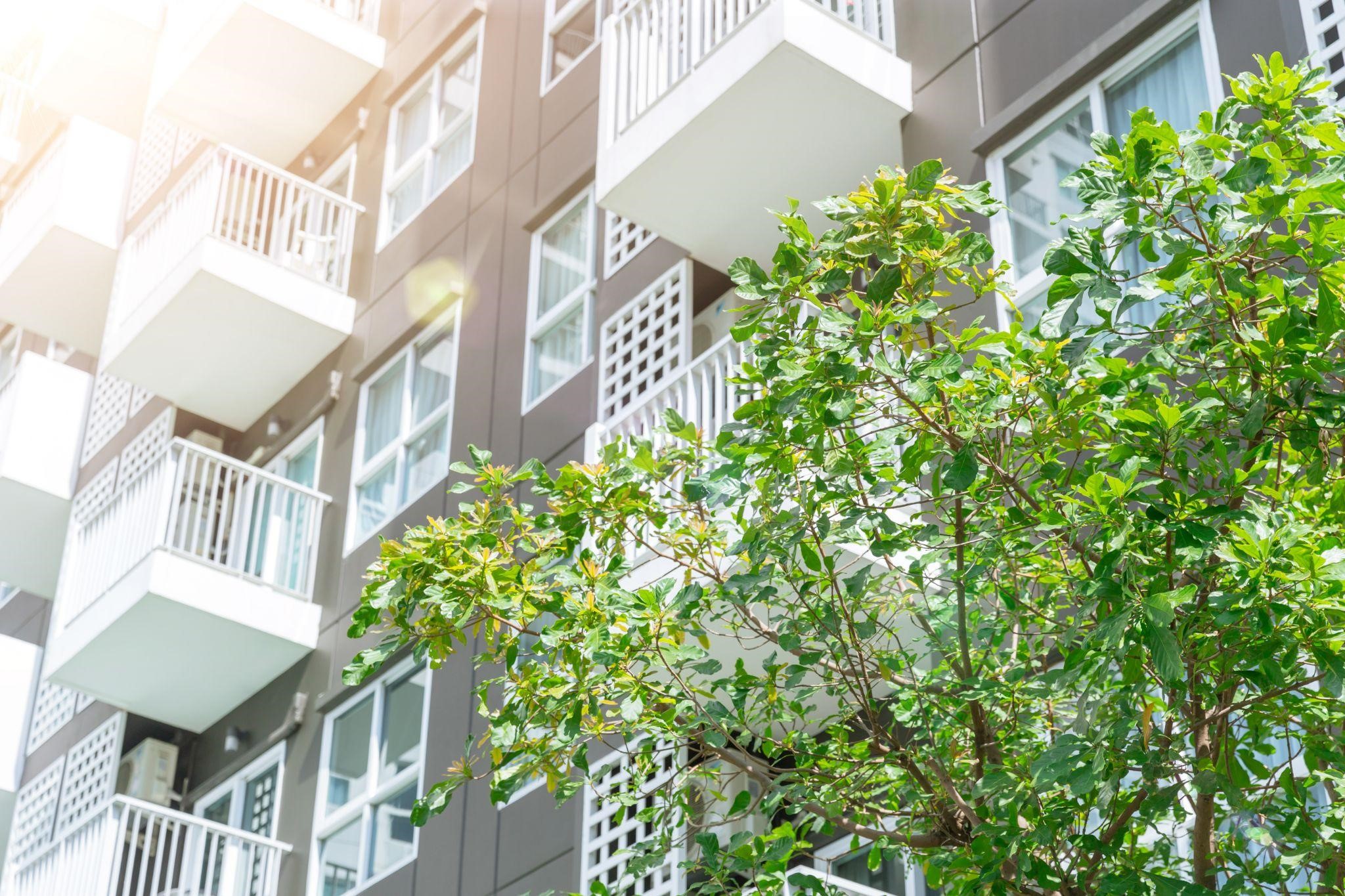 A Guide To Condo Management